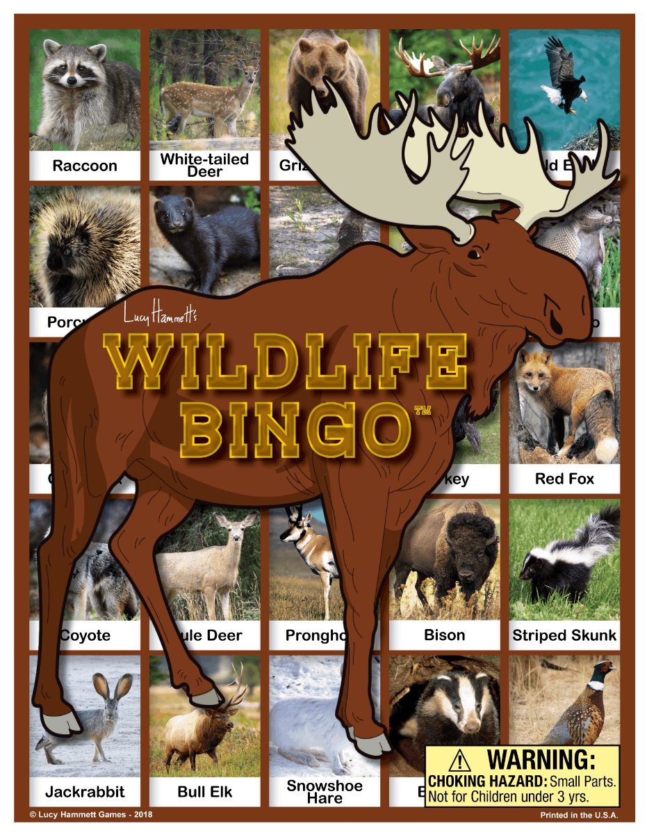 Wildlife Bingo – Lucy Hammett Games